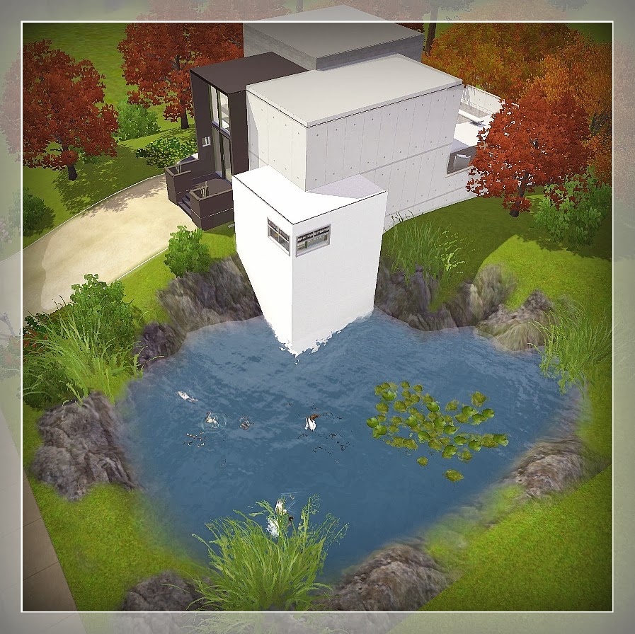 Anamosims