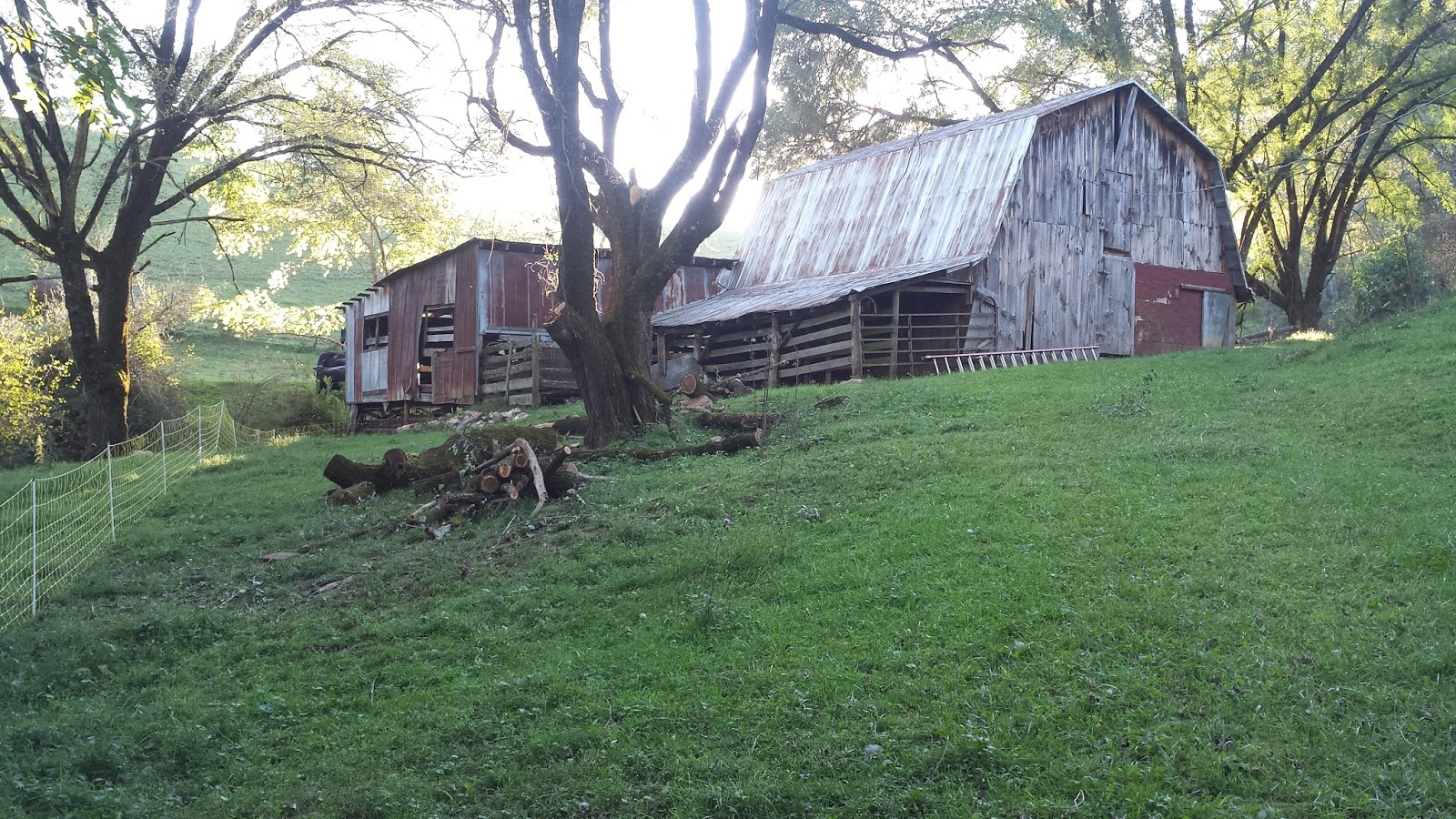 A Couple of Farmers At Maple Lawn Farm: Barn Restoration Project