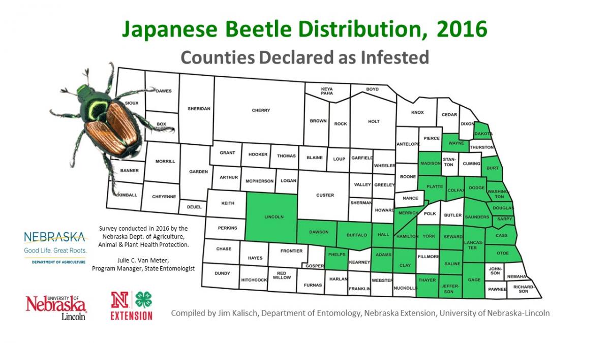 The Rural Blog: Mild winter helps Japanese beetles spread westward ...