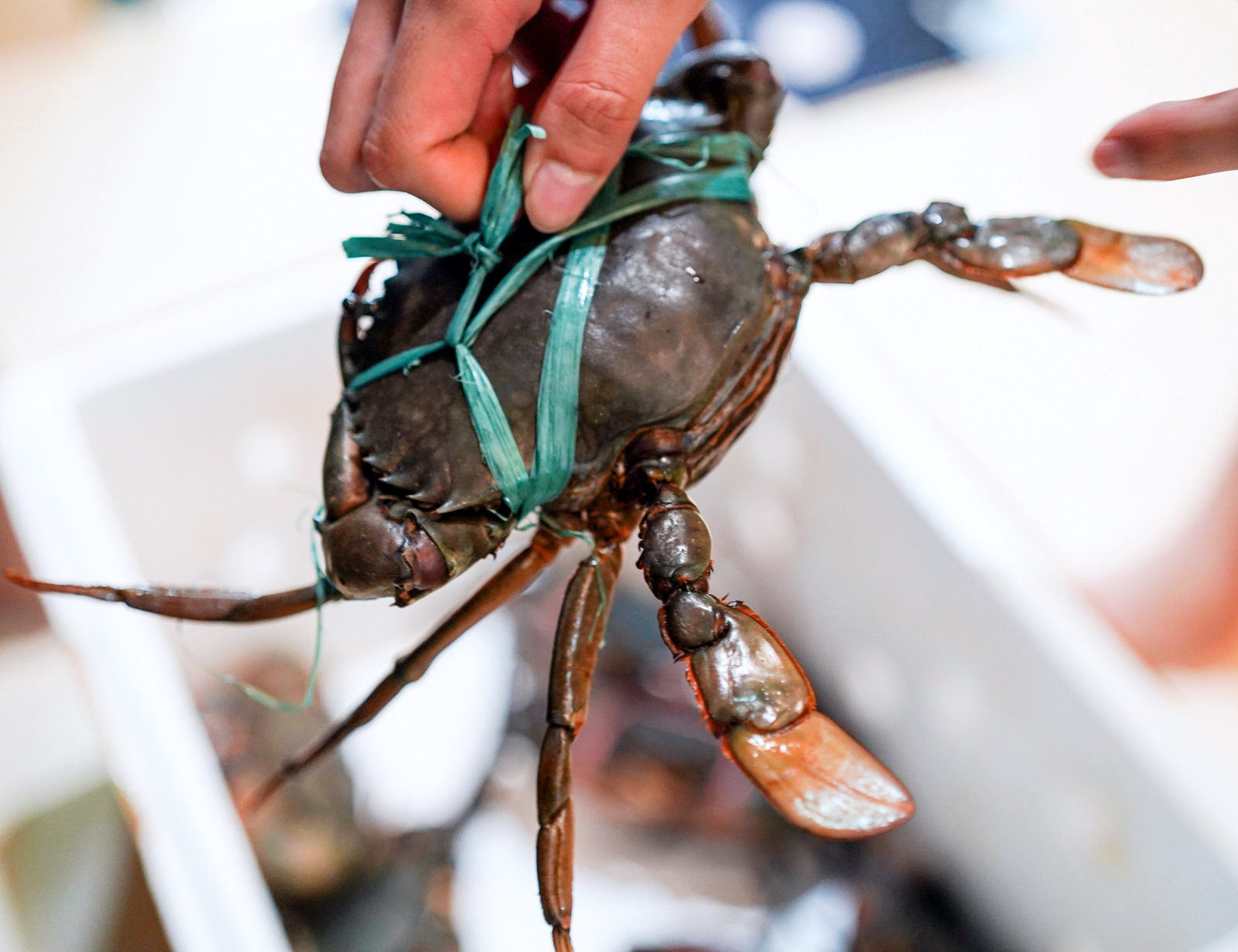 Was this our favourite crab meal of 2020? Even before we polished off ...