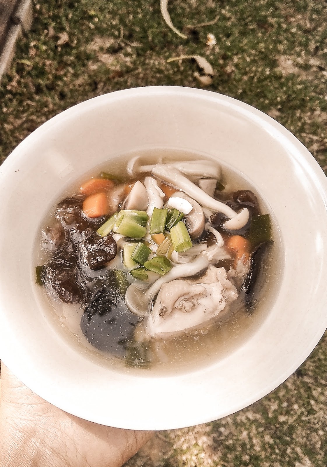 Sup Jamur Yang Terinspirasi dari Resep dr. Zaidul Akbar | AJENG ...