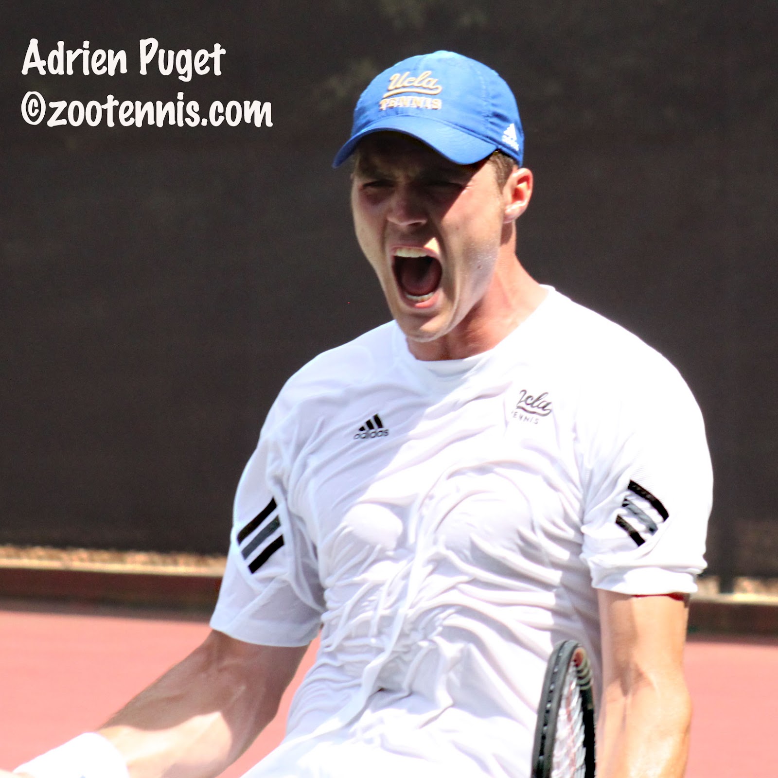 ZooTennis: Pac 12 Rivalry Resumes in NCAA Men's Semifinals with Top ...
