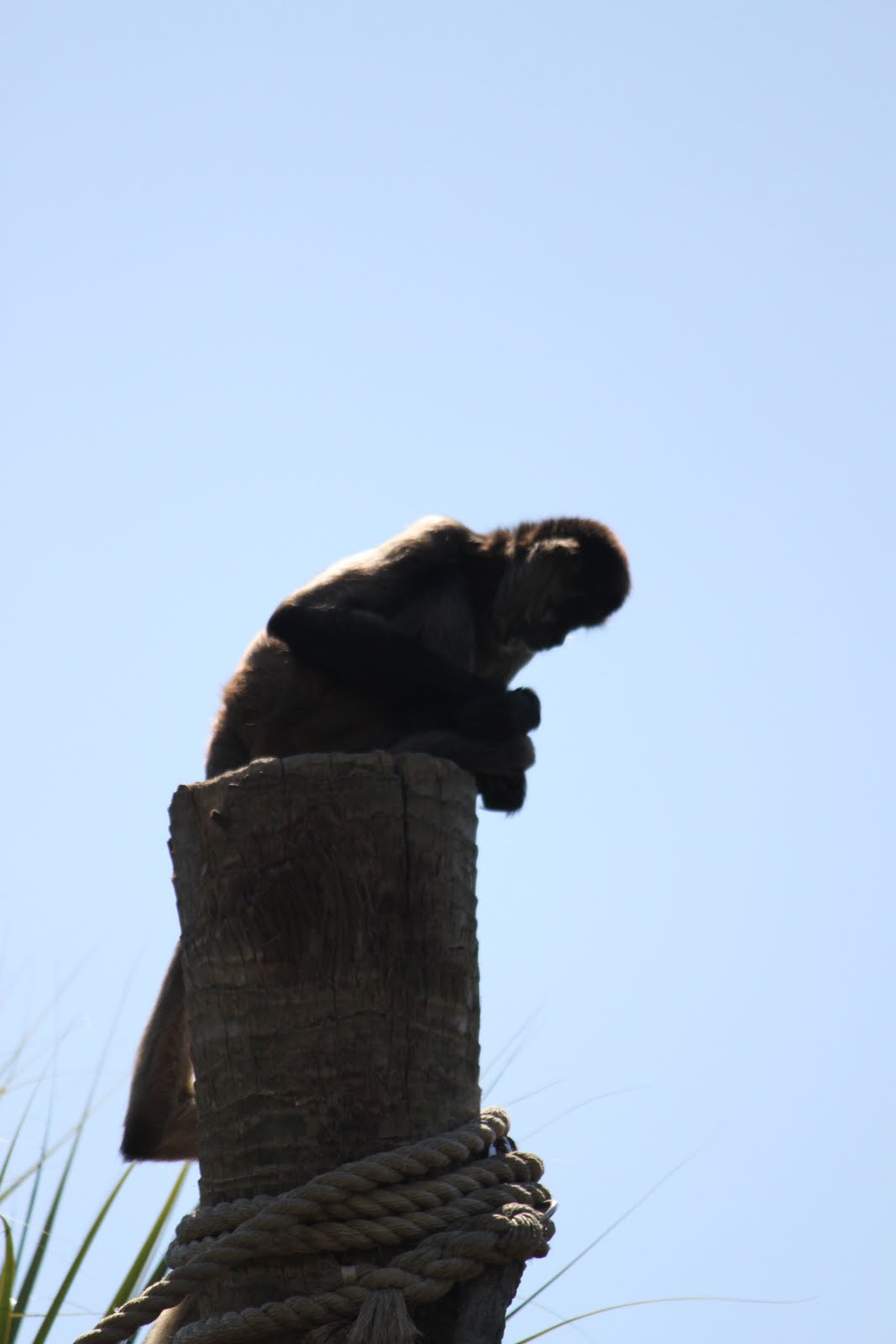 The Robertson Family: New Orleans Zoo