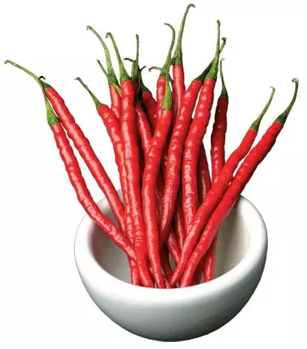 Jenis-jenis cabai yang beredar di pasaran.