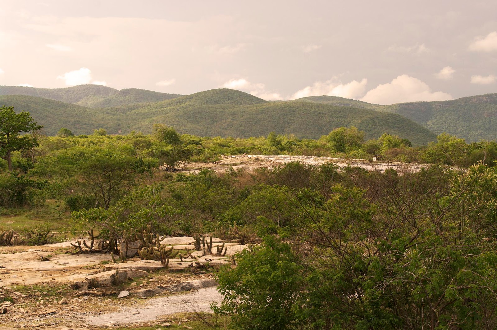 BLOG DO PROFESSOR MARCIANO DANTAS: AS COMUNIDADES TRADICIONAIS DA CAATINGA