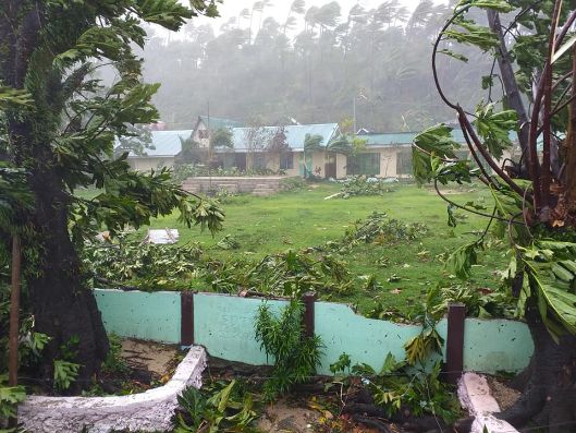 Trees filled with roof materials as 'Ambo' makes landfall in Eastern Samar