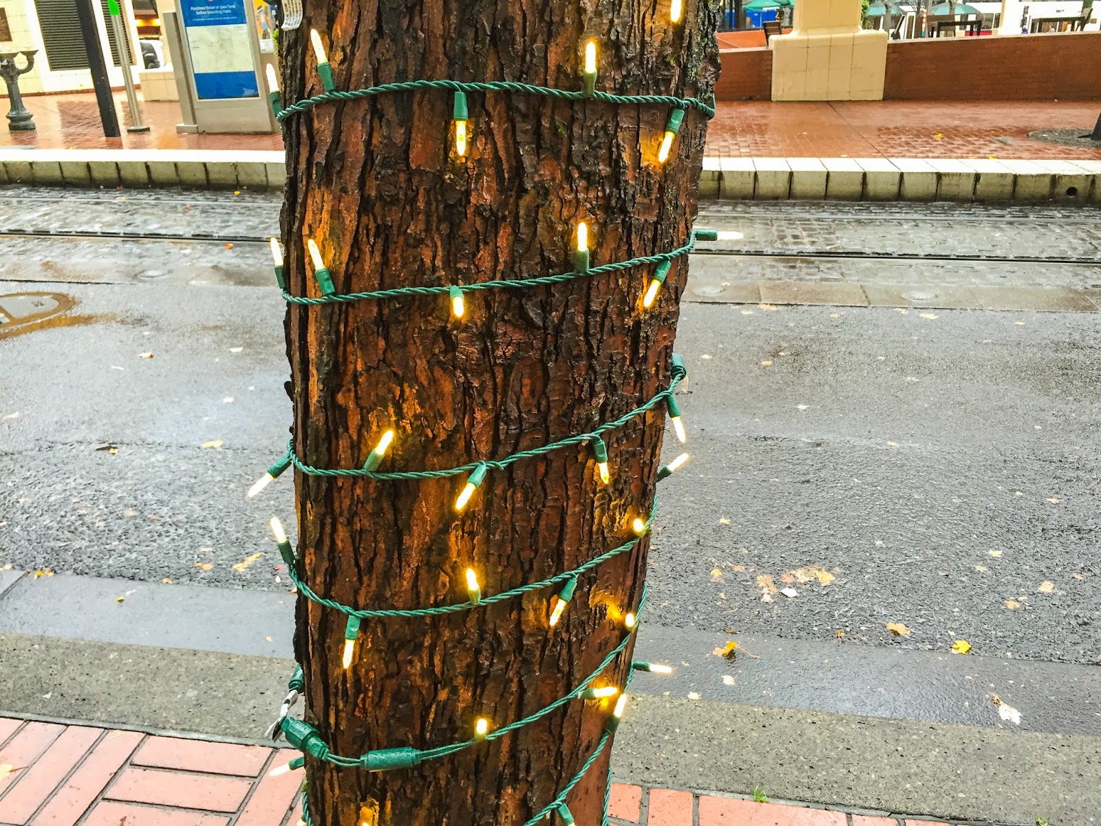 Drew's Photography Blog: Strong Contrast in Color and Texture