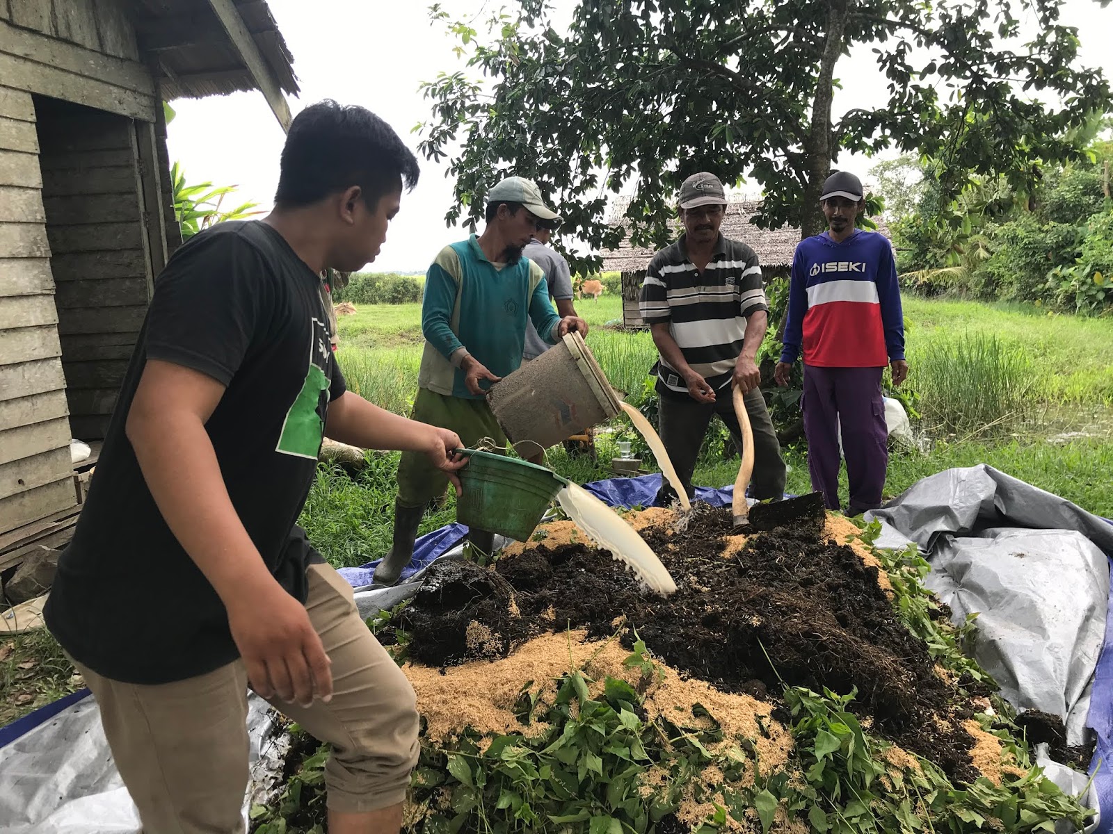 Pupuk Kompos dari Kotoran Sapi | Widrializa Blogs