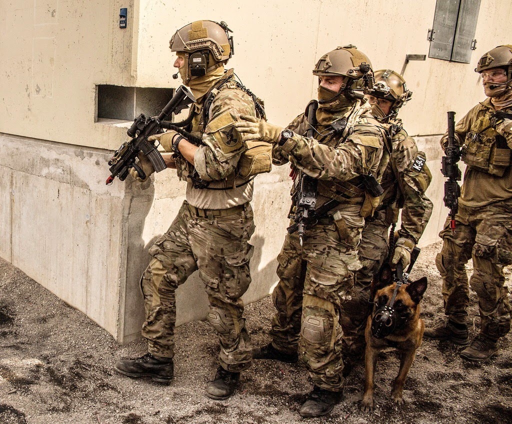 Marinejegerkommandoen, Forsvarets spesialkommando и Beredskapstroppen ...