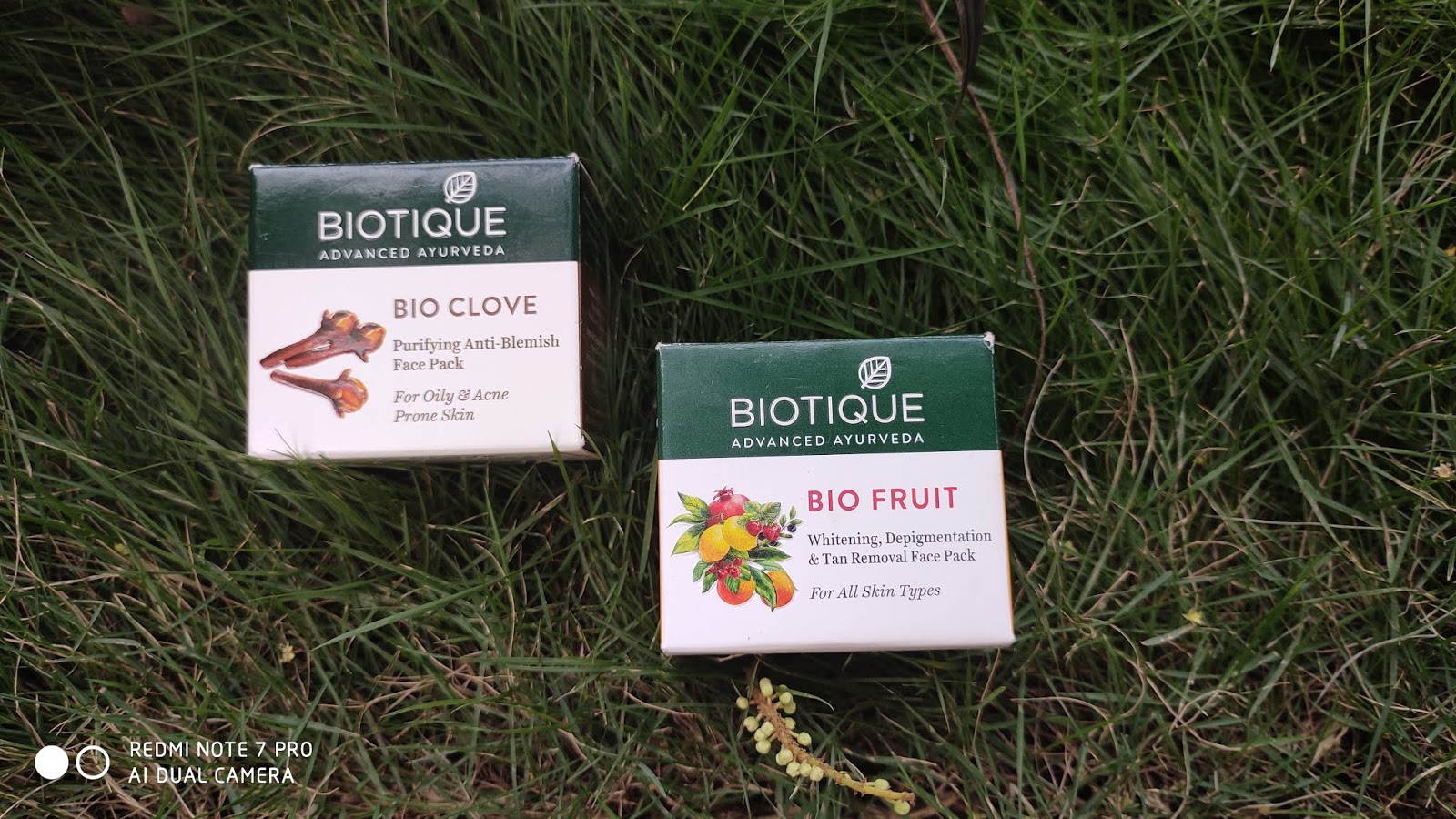 Biotique Bio Fruit Face Pack and Biotique Bio Clove Face Pack ...