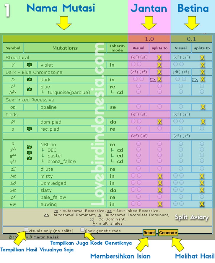 Cara Menggunakan Genetic Calculator / Gencalc Lovebird