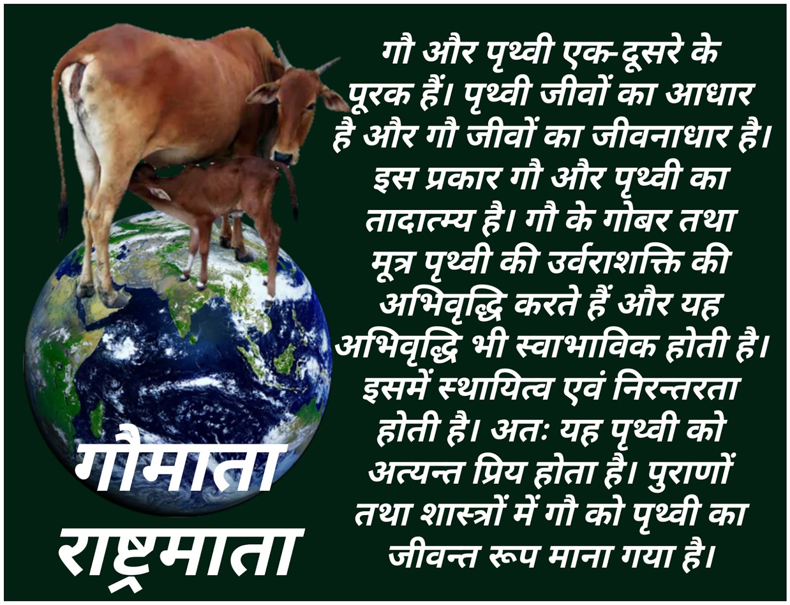 गौमाता ही भारत माँ की पहचान है: गौ स्लोगन (गौ माता स्टेटस)