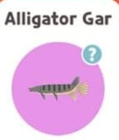 Play Together : Fish List and Location. How to Get Fish in Play ...