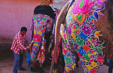 Postmodern Royalty: Jaipur at Holi & Elephant Festival Time.... Maybe ...