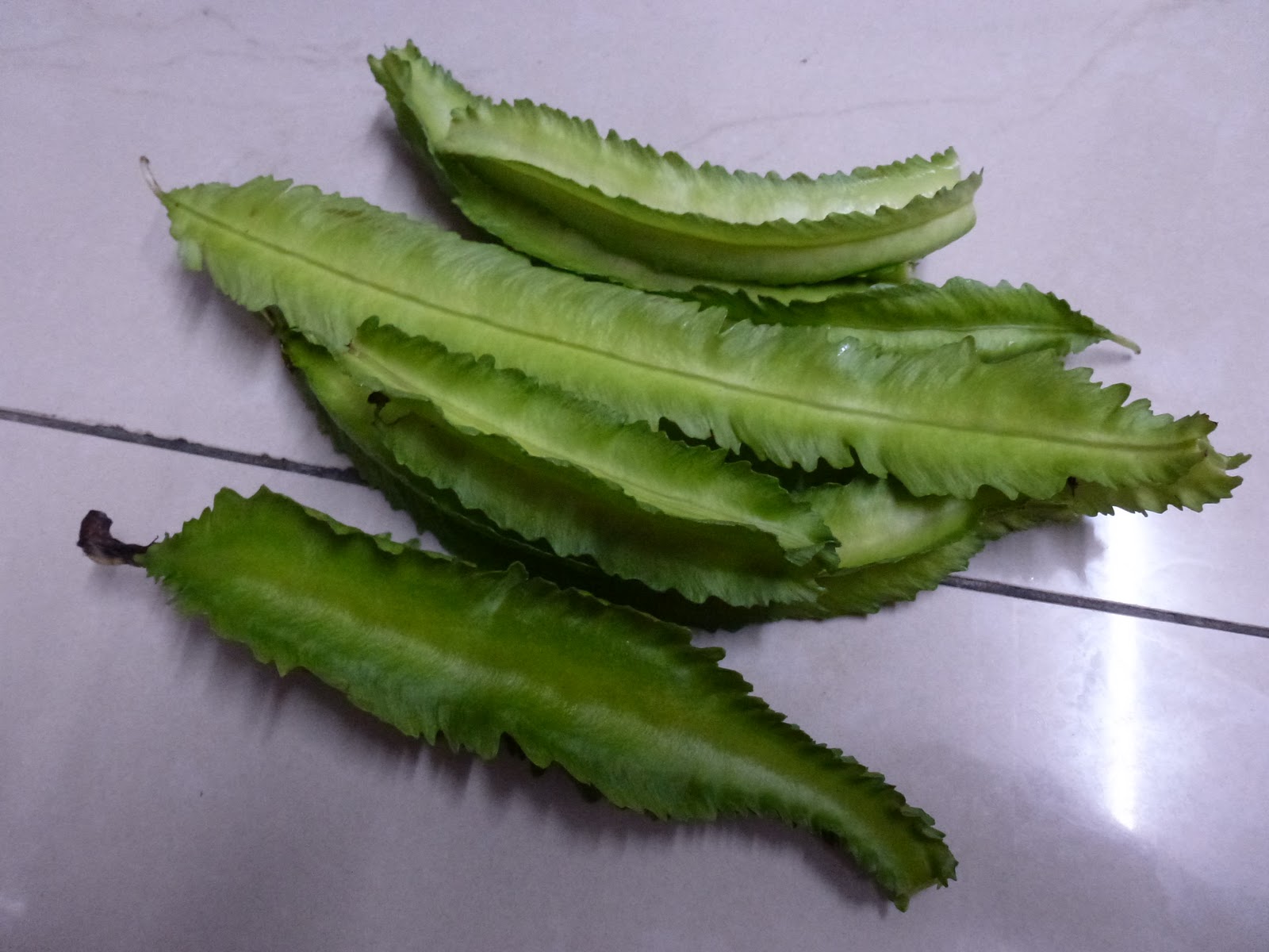 Greenfingers: Kacang Botol atau Kacang Botor