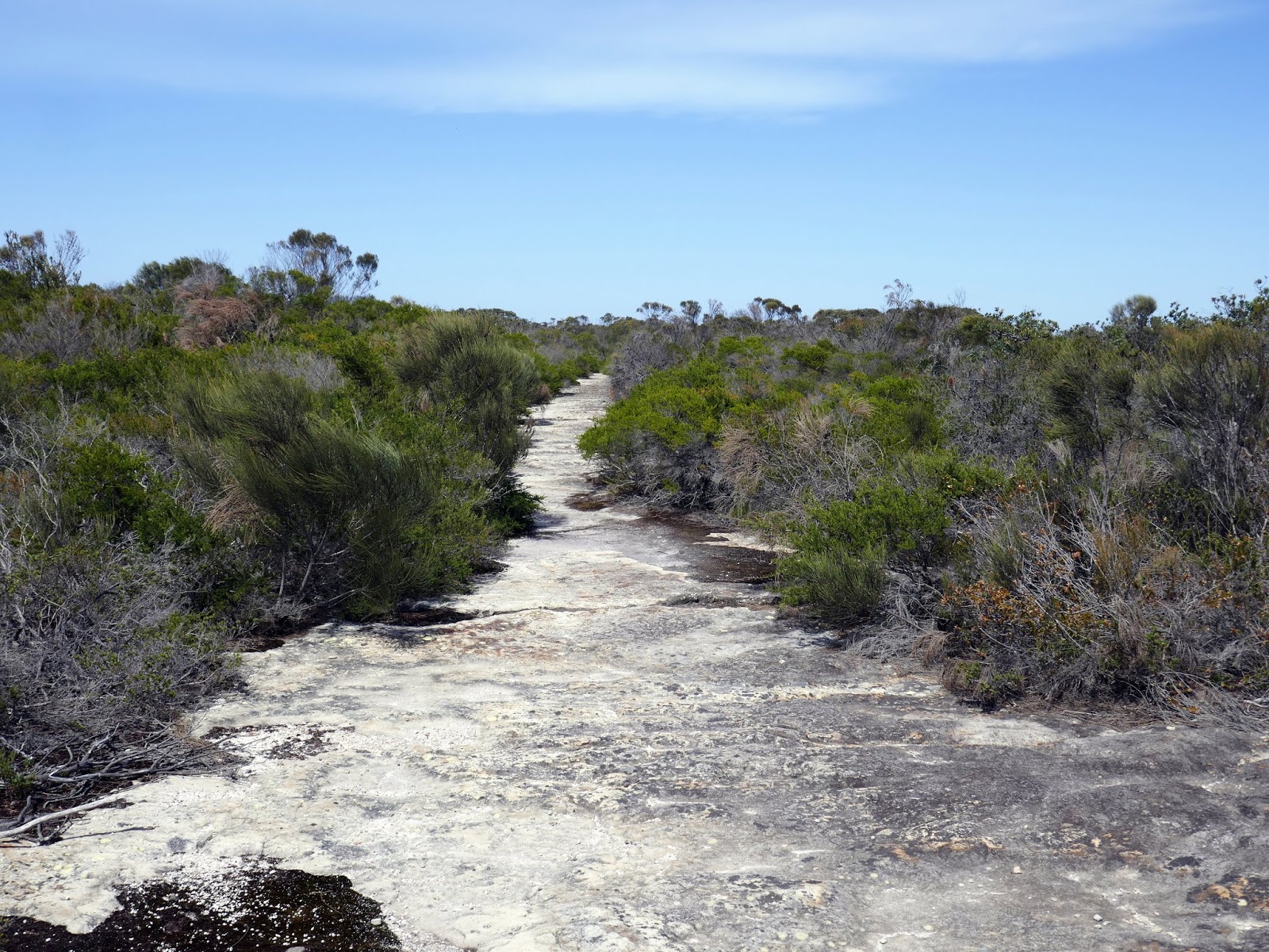 All The Gear But No Idea: Beecroft Head, Gosangs Tunnel & Mermaids Inlet