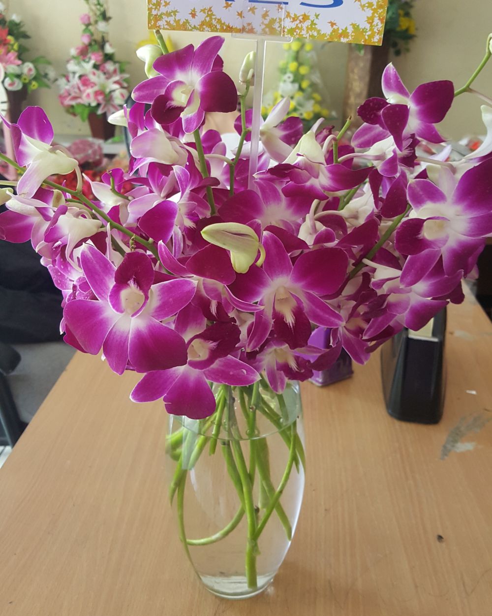 Gaya Terbaru 67+ Bunga Anggrek Hiasan Meja