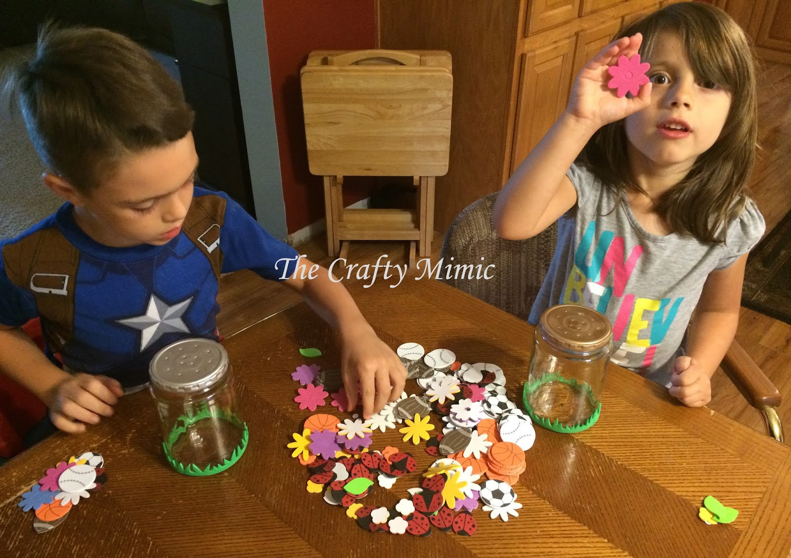 The Crafty Mimic: DIY Bug Jars