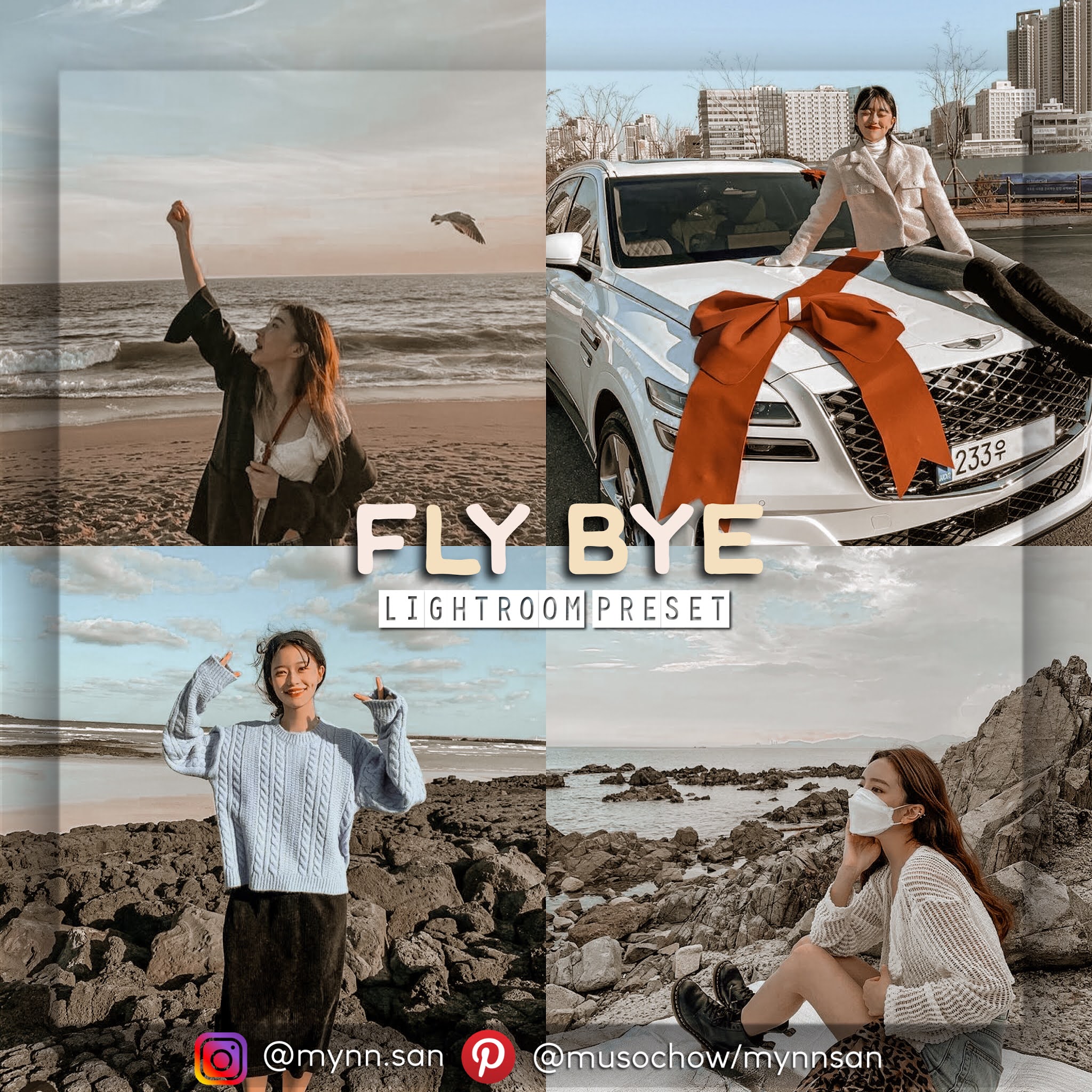 Fly Bye - mynnsan