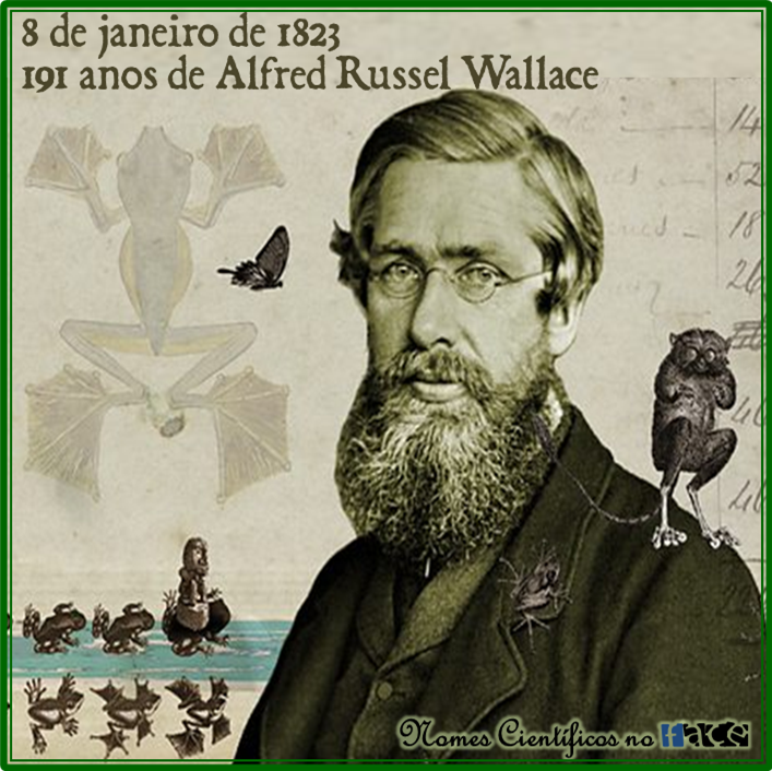 O Co-Autor da Teoria da Evolução