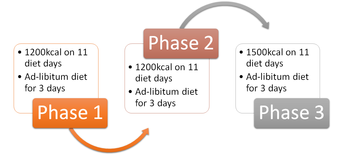 Calorie Shifting (Refeeding) for Max. Fat Loss: Classic Body Building ...