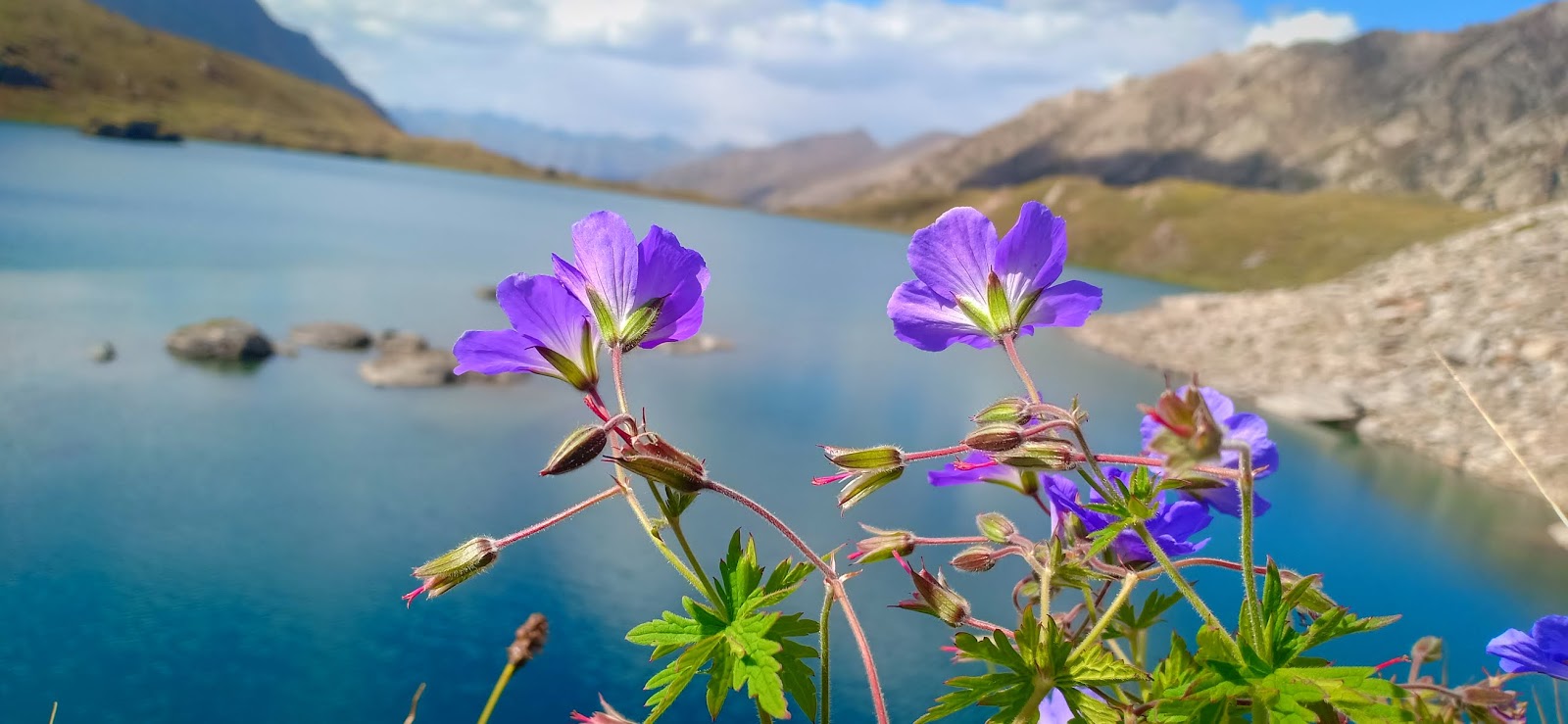 Supat Valley Photos |supatvalley.com | Supat Valley