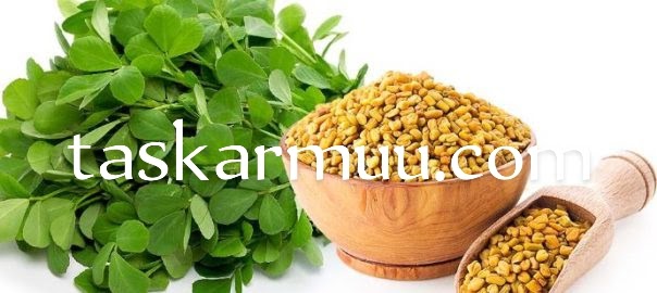 KASAITACCIYAR MACE ITA KE KULA DA NI'IMARTA