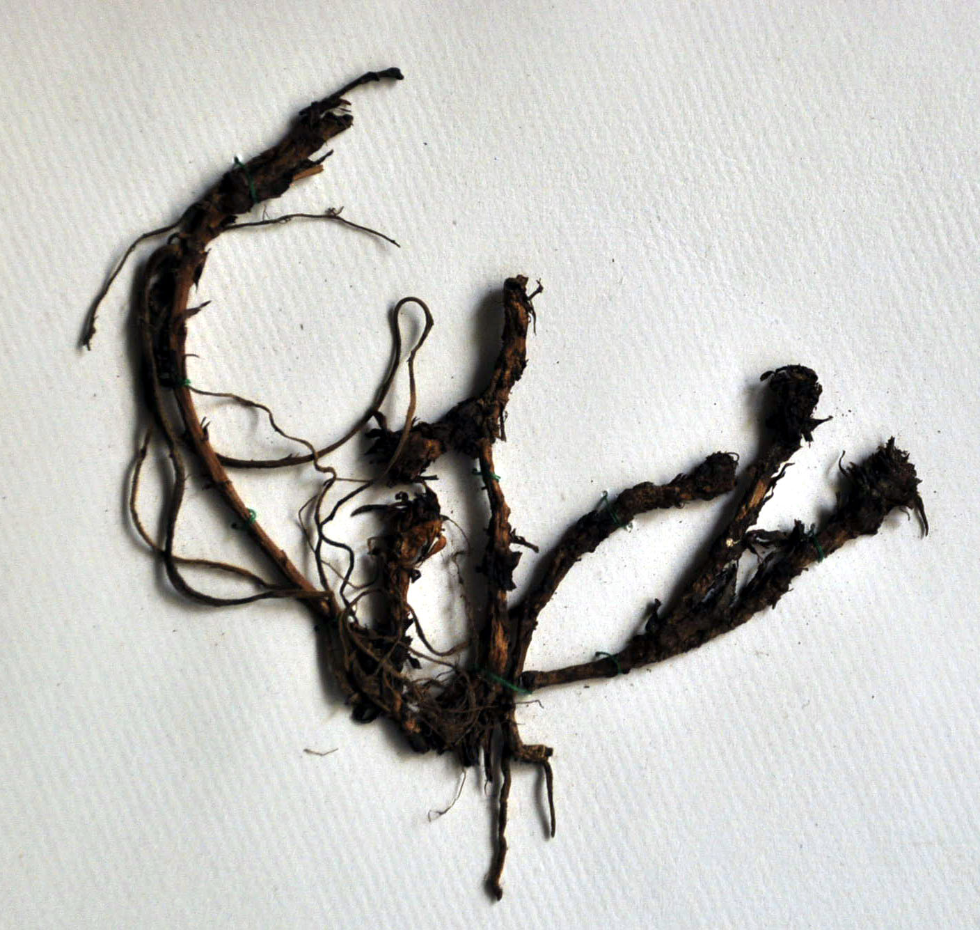 sabita's world: May 2012