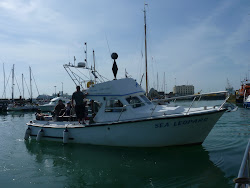 Sea Leopard Charter: The Pattern Family - Successful Channel Relay Swim ...