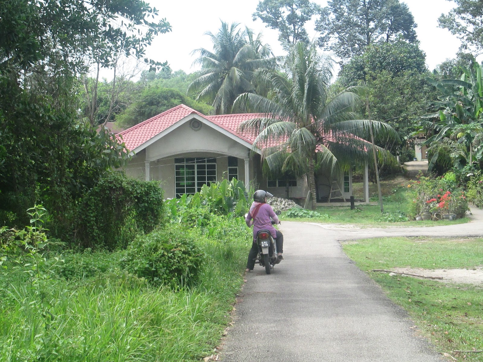 KAMPUNG MATANG GEDONG