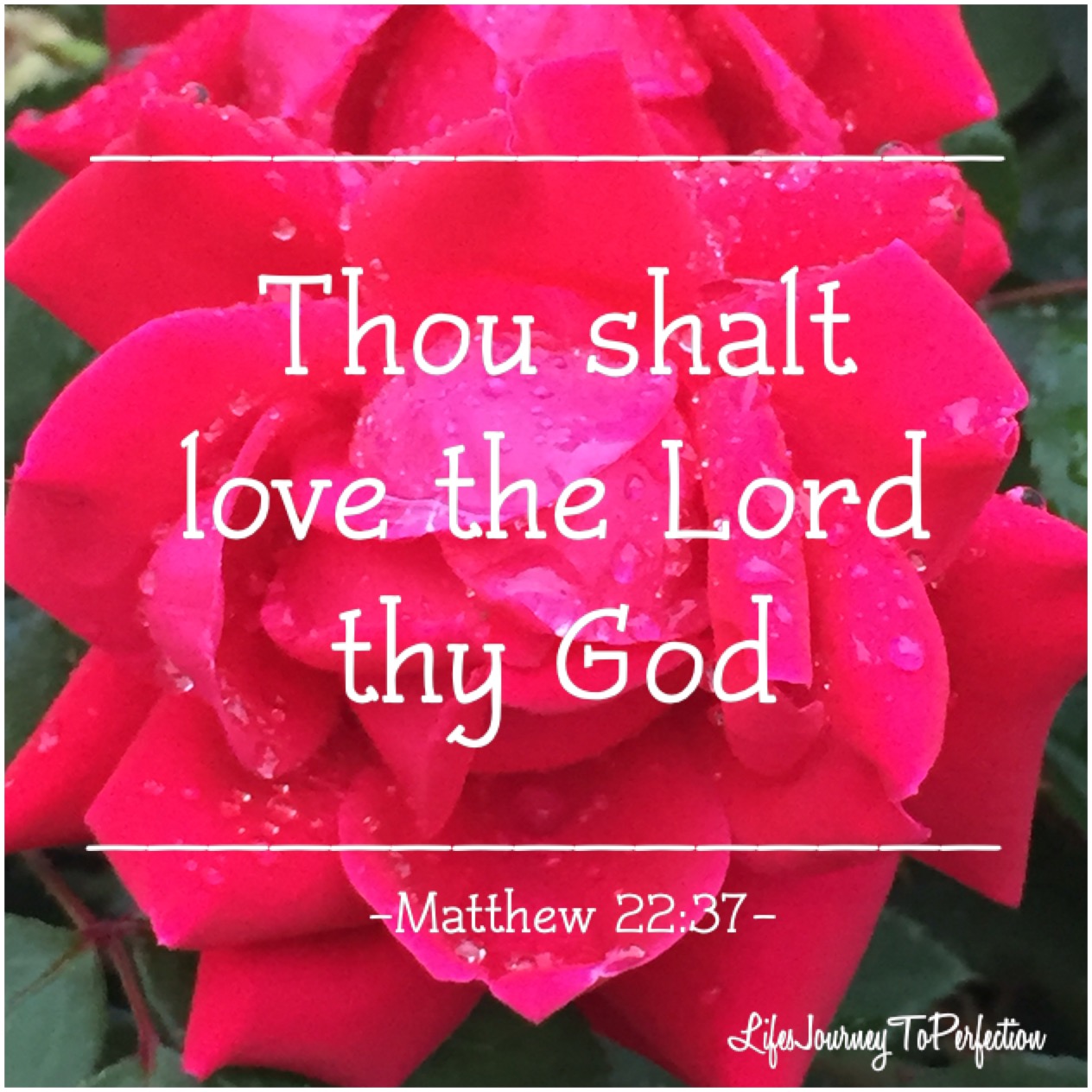 Life's Journey To Perfection: "Ponderize" Week 29: Matthew 22:36-39