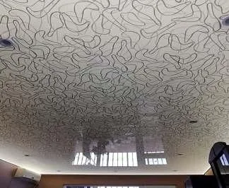 ..Architect-Interior~~: Stretch Ceiling Gallery