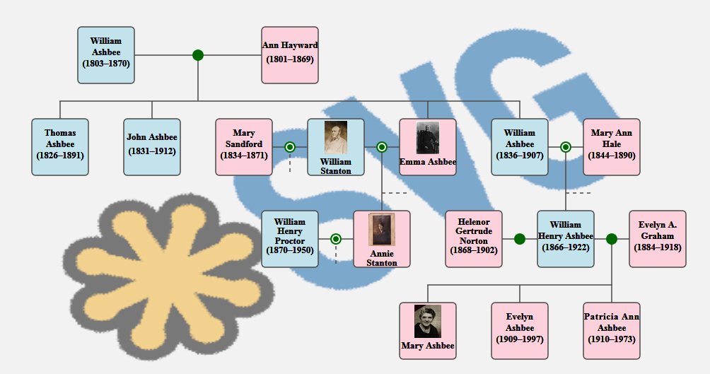 Parallax View ®: SVG Family-Tree Generator (v6.0)