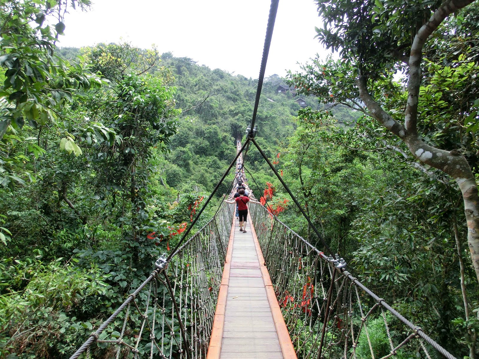 Year In Suzhou: The Rope Bridge