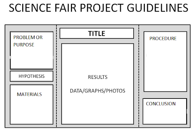 We are scientists!: Science Fair guidelines