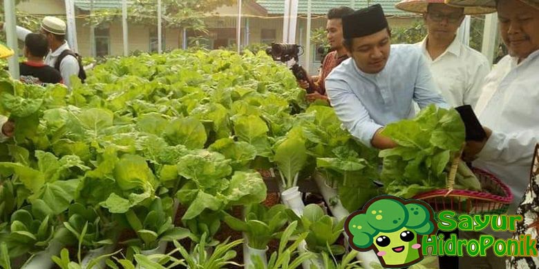 Definisi Sistem Rakit