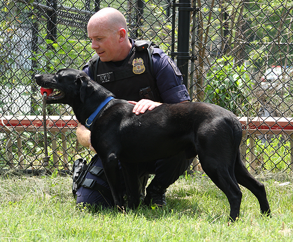 PGPD News: PGPD Welcomes New Explosives Detection K-9