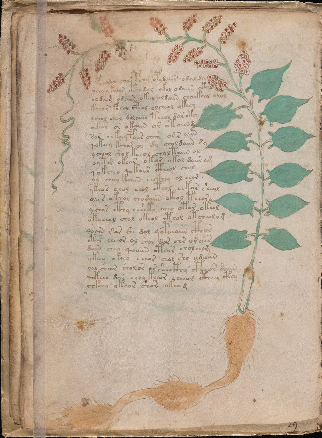 Black and White: Here's Something Cool: Mystery Manuscript