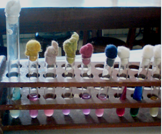 Kultur dan Hasil Uji Biokimia Bakteri Gram Negatif ~ Analis Kesehatan ...