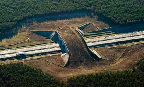 動物たちの、いま －伝えよう、声になろう－ 人間が渡ると罰金…ドイツで大掛かりな動物用の橋が建設 Animal-only bridges