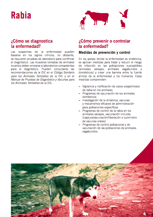 EMS SOLUTIONS INTERNATIONAL by @DrRamonReyesMD marca registrada: La ...