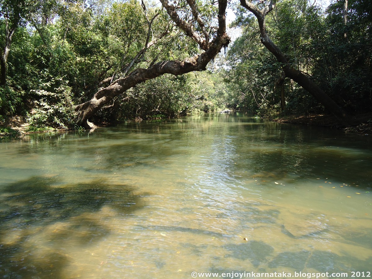 enjoy in karnataka: Cauvery Nisargadhama