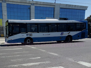 Colectibus - Zona de Buses: LINEA 8