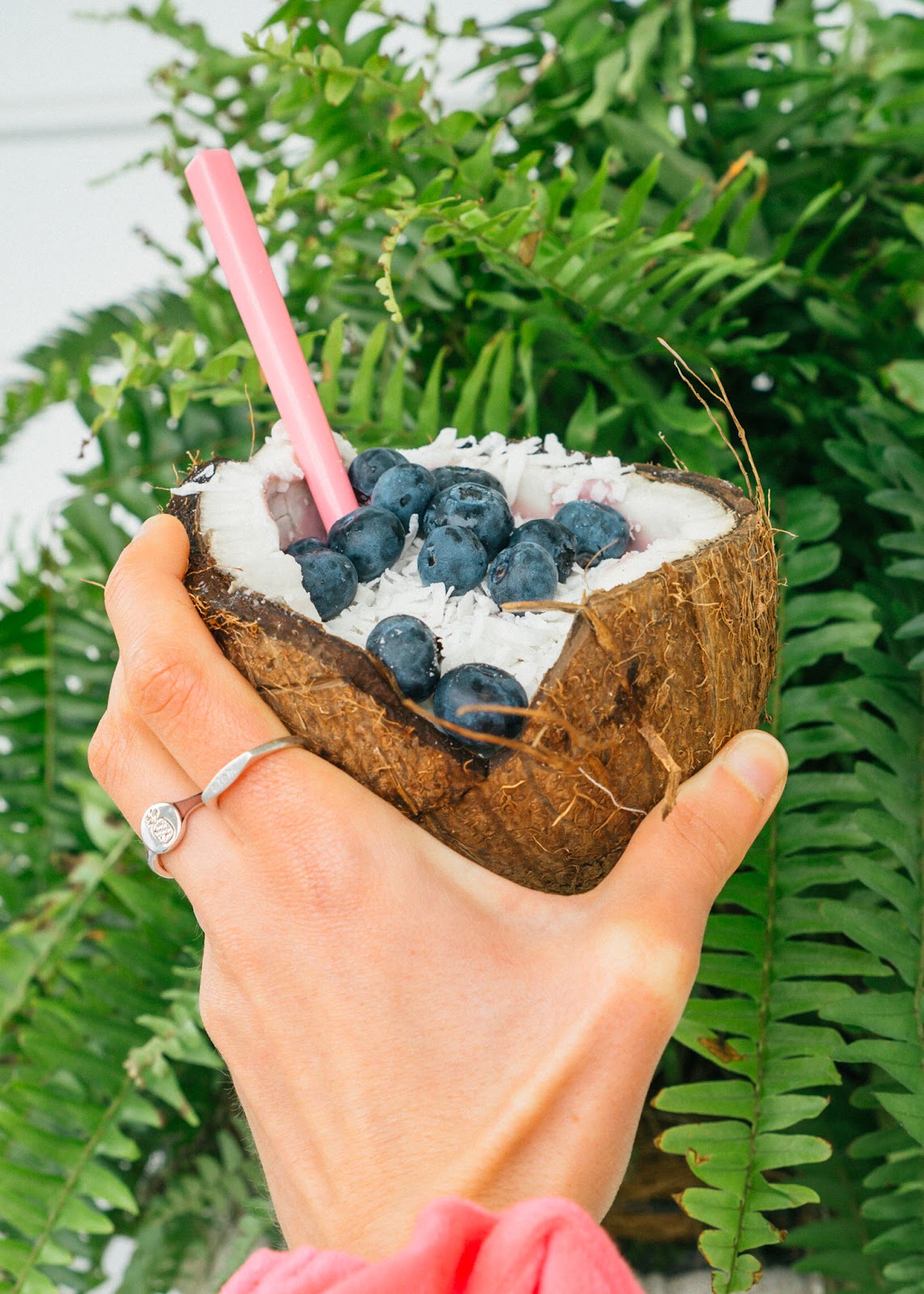 Summer Recipes: How-to-Crack-a-Coconut — The Yellow Spectacles