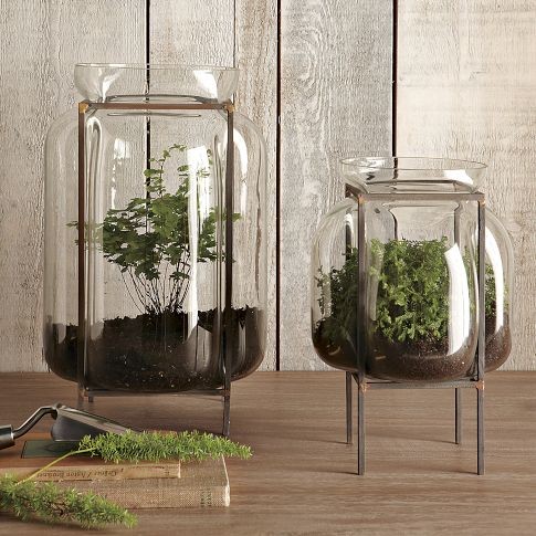 Lisa Mende Design: Terrariums~ The Answer to Low Maintenance House Plants