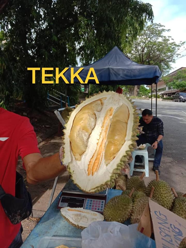 Berita TV Malaysia: HARGA DURIAN RUNTUH SANGAT MURAH