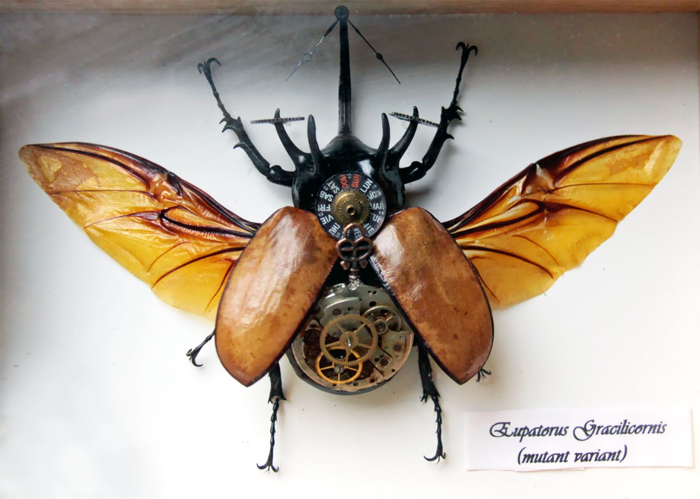 The passionate maker: What is Steampunk?