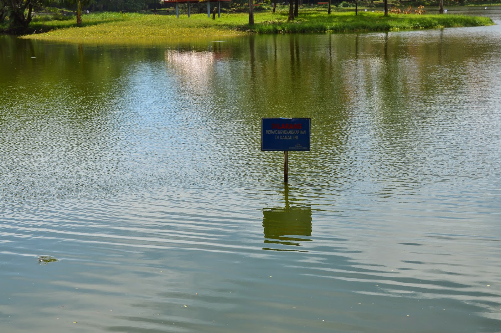 mozaik arsitek : Pesona Danau UNHAS