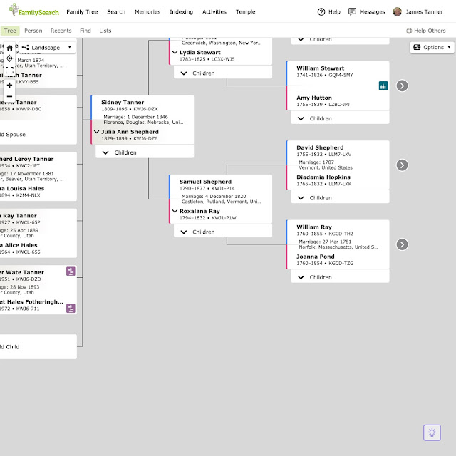 Genealogy's Star: How to handle unsubstantiated family lines in the ...