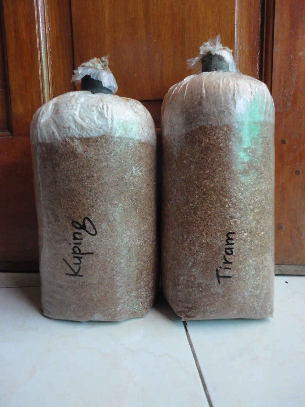 Baglog « Budidaya Jamur